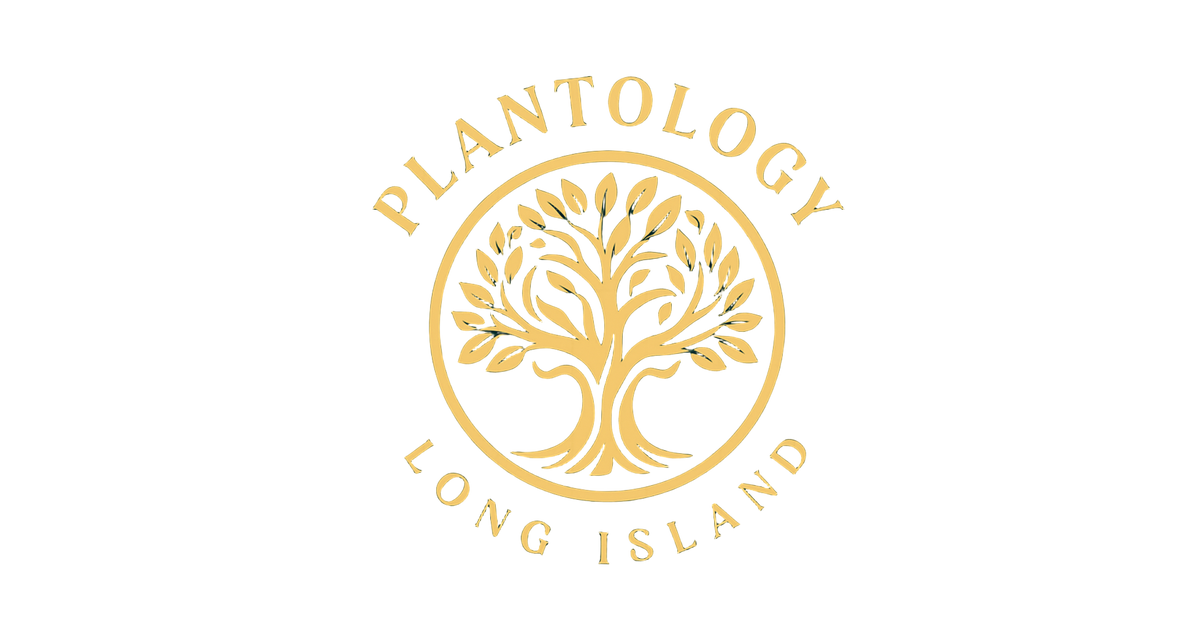 Bible Verse pot with Succulent – Plantology LI Inc.